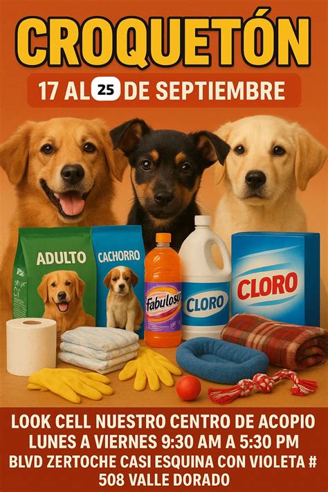 Frida Silva Huellitas Felices