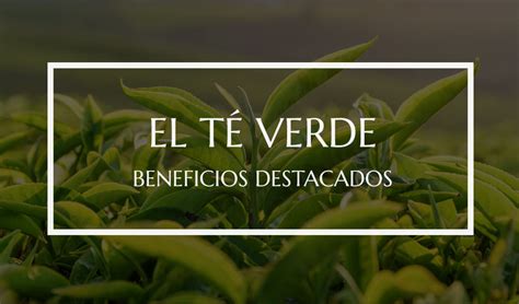 Beneficios Demostrados Del Té Verde