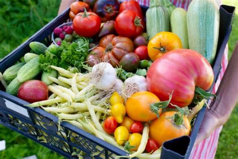 Efectos De Las Quemas Agrícolas Erosión Del Suelo Cultiva Futuro