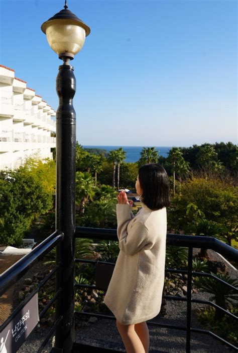 제주 배편 차량 배타고 완도 진도 제주도 배편 예약방법 네이버 블로그