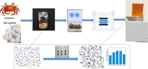 热机械加工壳聚糖基仿生复合材料的结构与性能：壳聚糖分子量的影响 Acs Sustainable Chemistry And Engineering X Mol