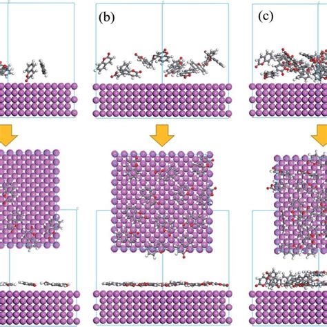Molecule Structure Of Coumarin Download Scientific Diagram