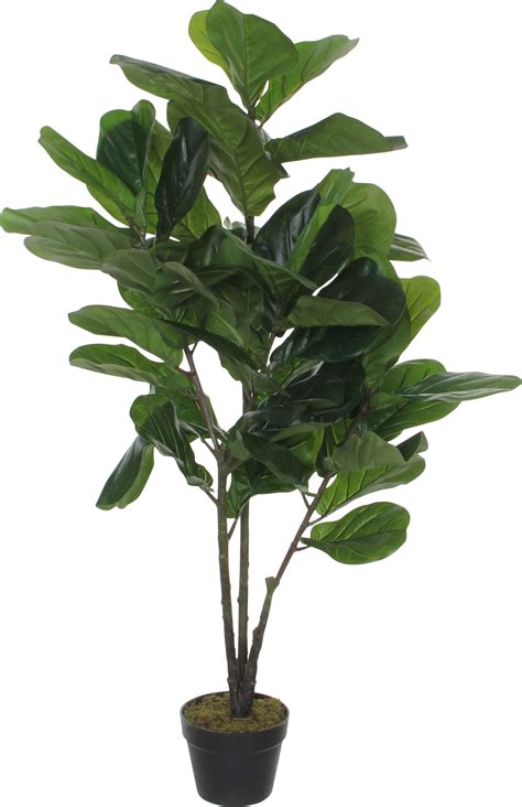 Planta Artificial Dieffenbachia 120 Cm De Altura Barchile
