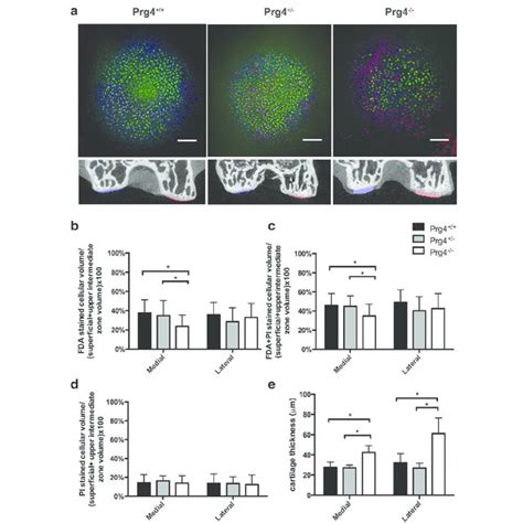 A Timing Diagram For Vsync And Hsync B Timing Diagram For Hsync Mclk Download Scientific