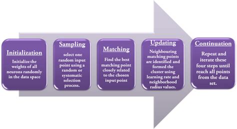 essential steps of som algorithm download scientific diagram
