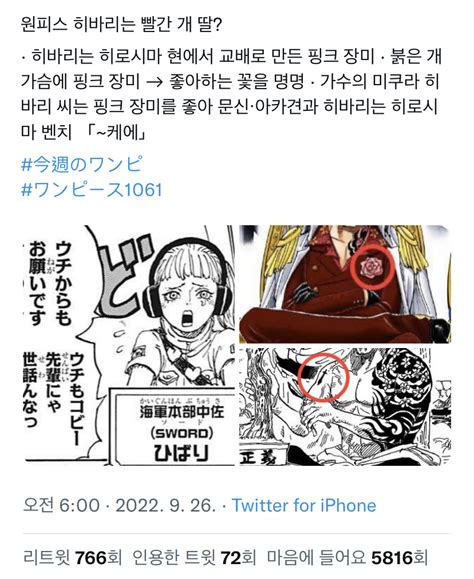 투디갤 원피스 ㅅㅍ 아카이누 딸 설 도는 여캐 좀 흥미로움