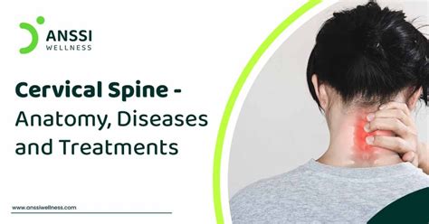 Cervical Spine Anatomy Diseases And Treatments Anssi