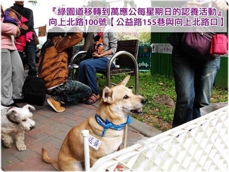 資訊台中假日送養活動已由綠園道移轉到萬應公廟公益路155巷與向上北路口歡迎蒞臨認養宣傳謝謝大家2011 Flickr
