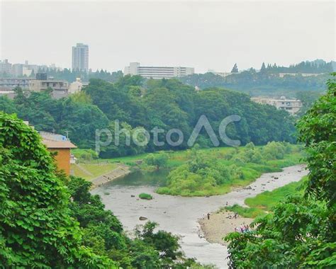 広瀬川の段丘崖 No 4171650｜写真素材なら「写真ac」無料（フリー）ダウンロードok