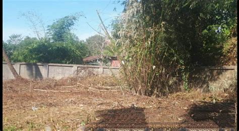 Wint Htae War Wint Htae War General Services Page