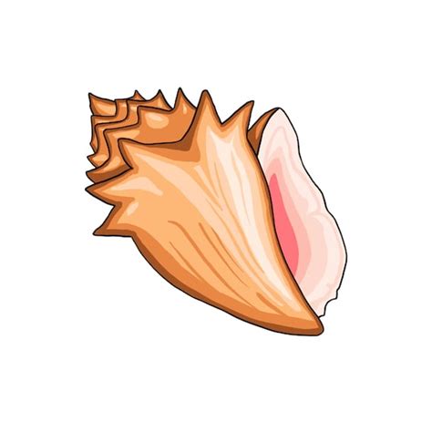 Conch Shell Clip Art