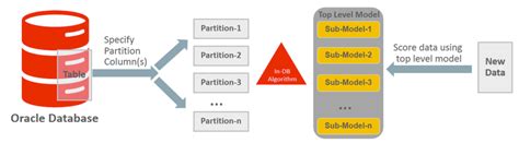Partitioned Models Oracle Machine Learning Oml Oralytics