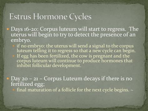 Ppt Bovine Reproductive Physiology And Endocrinology Powerpoint