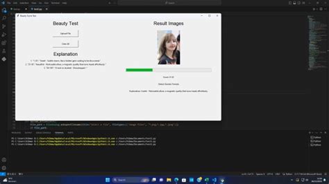 Create Python Gui App By Deynz12 Fiverr