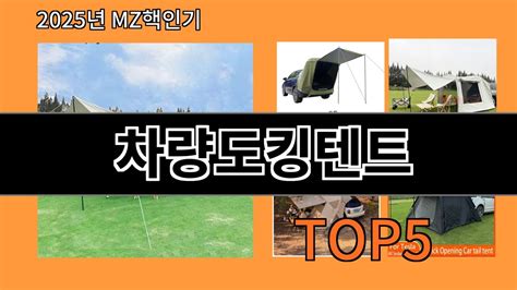 차량도킹텐트 늦으면 없다는 알리익스프레스추천템 Best 10 Youtube