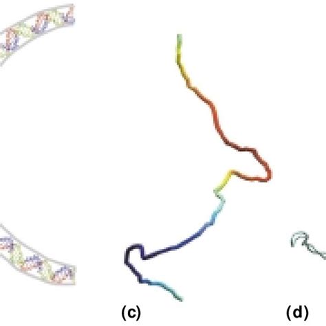 Models Of Dna At Four Different Length Scales A An A Tract Dodecamer