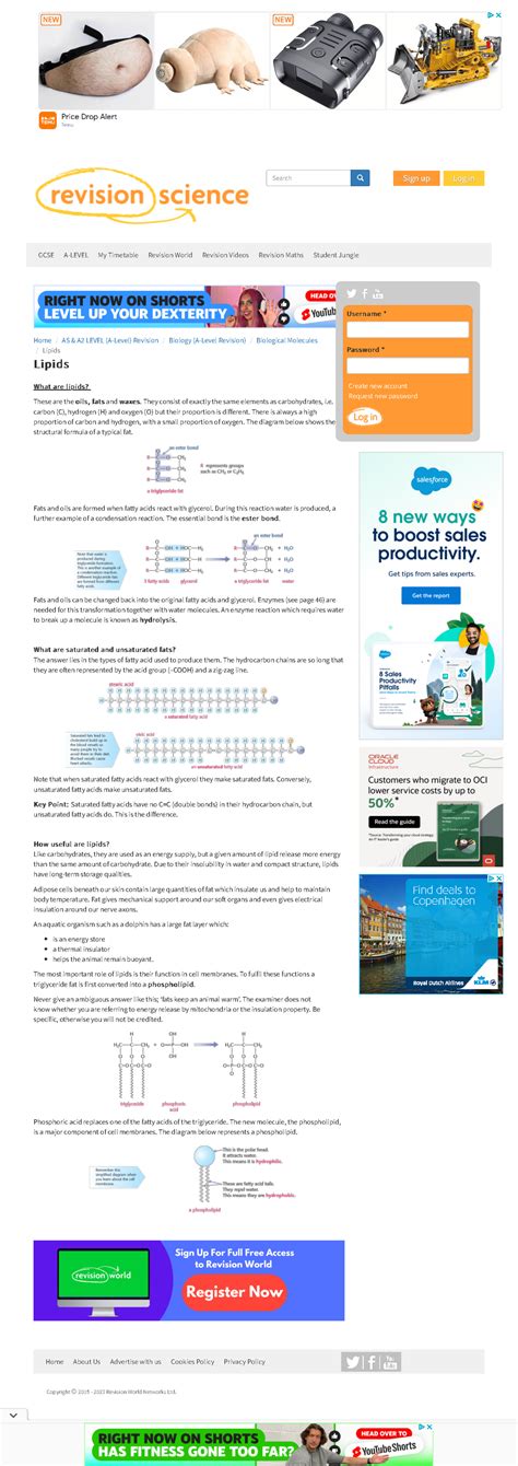 Lipids Biology A Level Revision Price Drop Alert Temu NEW NEW Sign Up Log In GCSE A LEVEL My