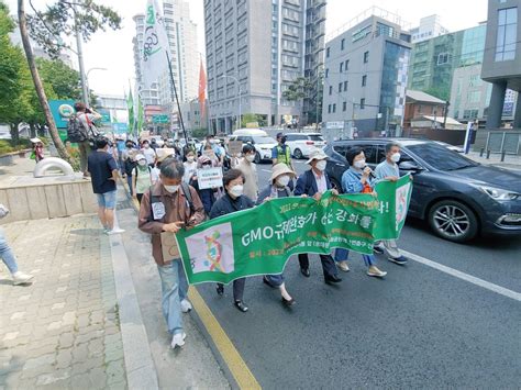 시민단체 유전자변형 돼지호박 정보 공개해야…보상책도 필요 나무뉴스
