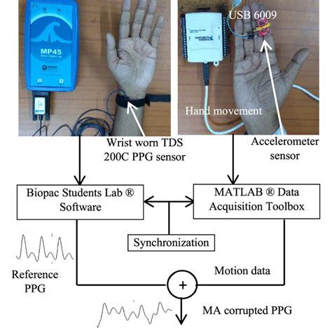 Data Collection Protocol For Volunteers Data Download Scientific