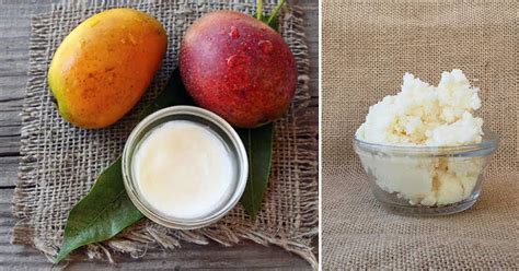 Mango Butter Benefits For Skin Enhancement Cradiori