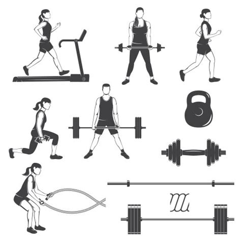 Elegant Women Silhouettes Doing Fitness Exercise Vector Image