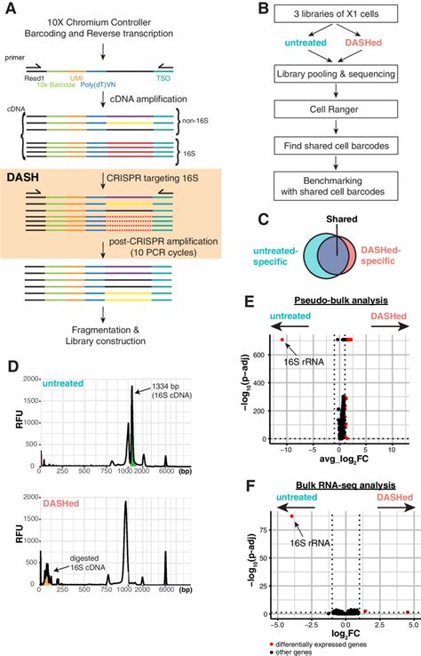 Cas9 Nuclease New England Biolabs Bioz