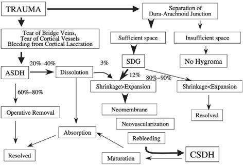 Figure 4 From Natural History Of Acute Subdural Hematoma Semantic