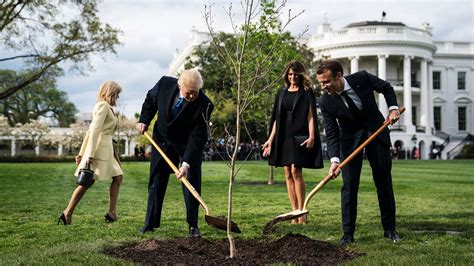 Donald Trump And Emmanuel Macrons Friendship Tree Is Dead Vanity Fair