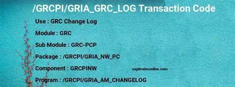 GRCPI GRIA GRC LOG SAP Tcode For GRC Change Log