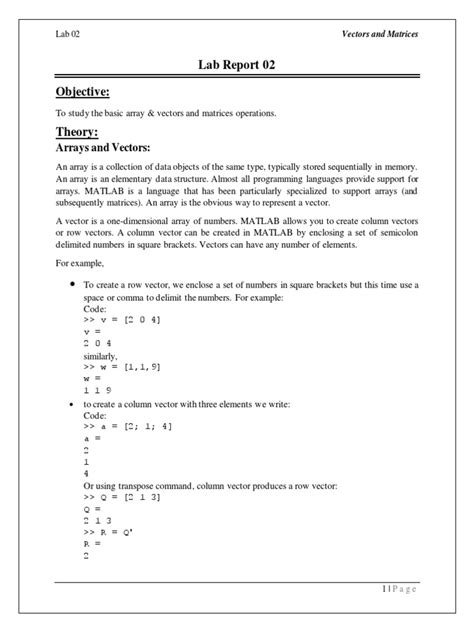 Lab Report 02 Objective Arrays And Vectors Pdf Matrix