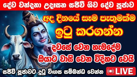 🔴 විශේෂ ශිව දෙවියන්ගේ පූජාව දවසම සුභ වෙන්න මෙය දුටු විගස සම්බන්ධ වෙන්න