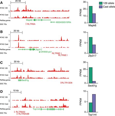Figures And Data In Functional Evaluation Of Transposable Elements As Enhancers In Mouse