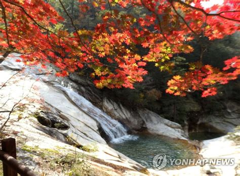 선녀는 없지만단풍 물든 설악산 십이선녀탕 계곡 연합뉴스