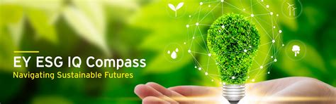 Explore Sustainable Futures With Esg Iq Ey India