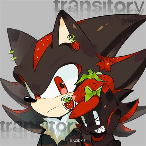 Shadow The Hedgehog Dark Chao And Shadow Chao Sonic Drawn By