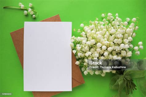 계곡의 백합의 작은 꽃다발과 텍스트를위한 공간이있는 흰색 공백 꽃 식물에 대한 스톡 사진 및 기타 이미지 꽃 식물 0명