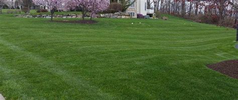 Lawn Mowing Services In Macungie East Greenville And Fogelsville