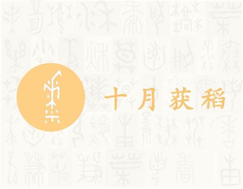 稻——每日一字·禾部字 知乎