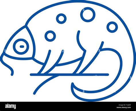 Chameleon Line Icon Concept Chameleon Flat Vector Symbol Sign