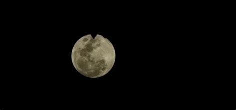 Cannot See Cvs Svn Code Management Perspective In Eclipse Reclipse