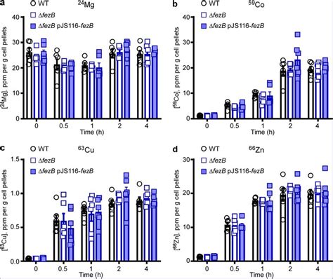 Intracellular Metal Quantification Using ICP MS A The Intracellular