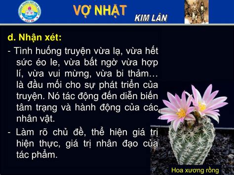 Ppt V Nh T Powerpoint Presentation Free Download Id