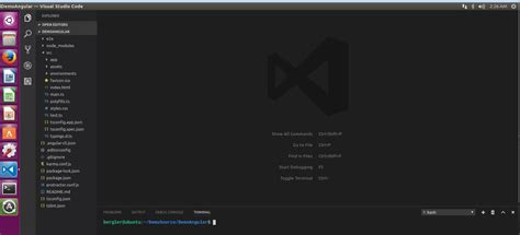 Angular Ontwikkeling Met Visual Studio Code Bergler Ict