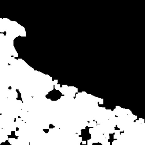 Example Of Automatic Shoreline Extraction By Sentinel 1 Synthetic
