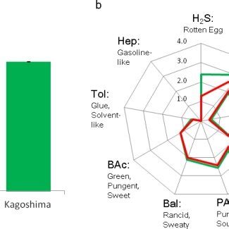Odor Display Converted To Levels Of Human Perception By Calculation And Download Scientific