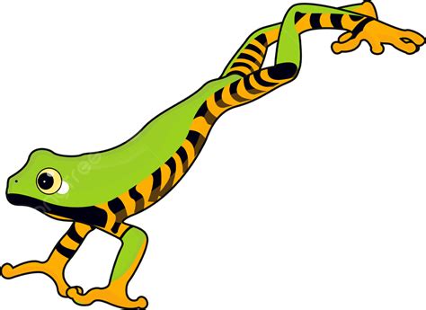 Elementos De Clipart De Sapo Verde Listrado PNG Desenho Animado Clip