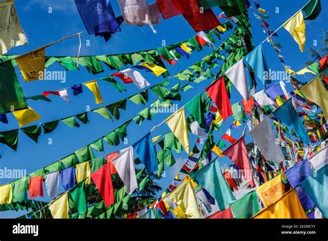 Buddhist Prayer Flags Lunga In Mcleod Ganj Himachal Pradesh India