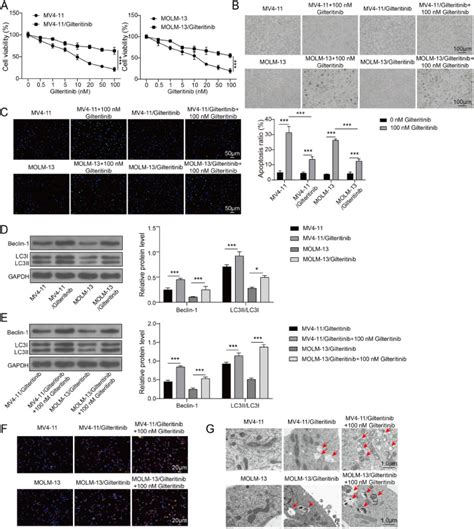 Rnf38 Promotes Gilteritinib Resistance In Acute Myeloid Leukemia Via