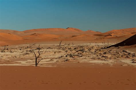 Dead Vlei Best Photo Spots