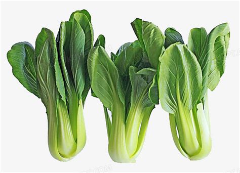 蔬菜PNG图片素材下载 蔬菜PNG 熊猫办公